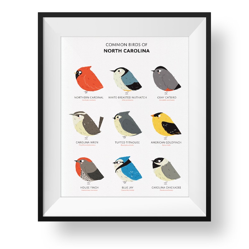 North Carolina - Etsy