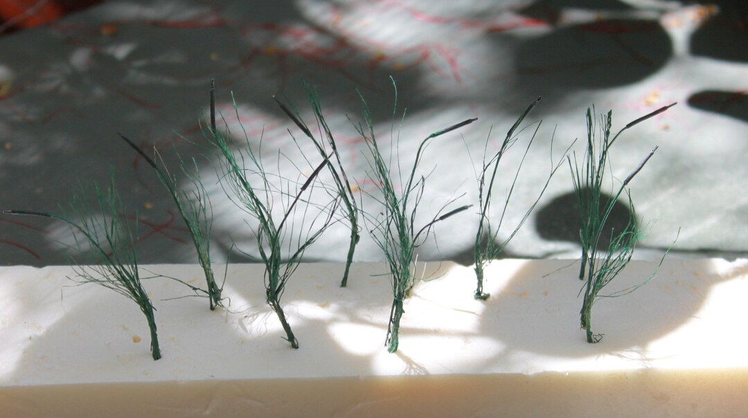 NEW 10 Reeds rush for Diorama 40mm Natural Product. for Creating ...