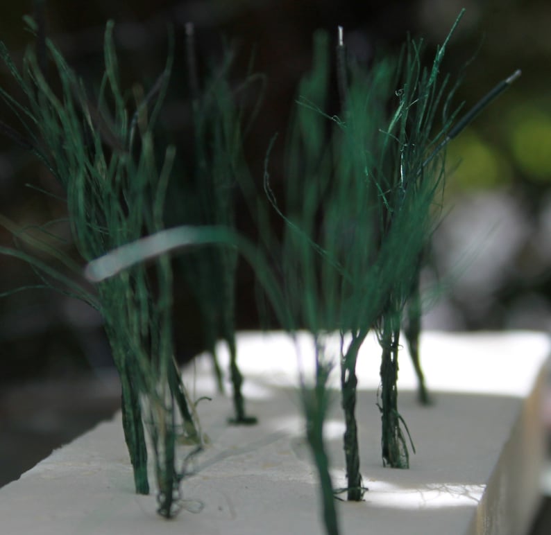 NEW 10 Reeds rush for Diorama 40mm Natural Product. for Creating ...