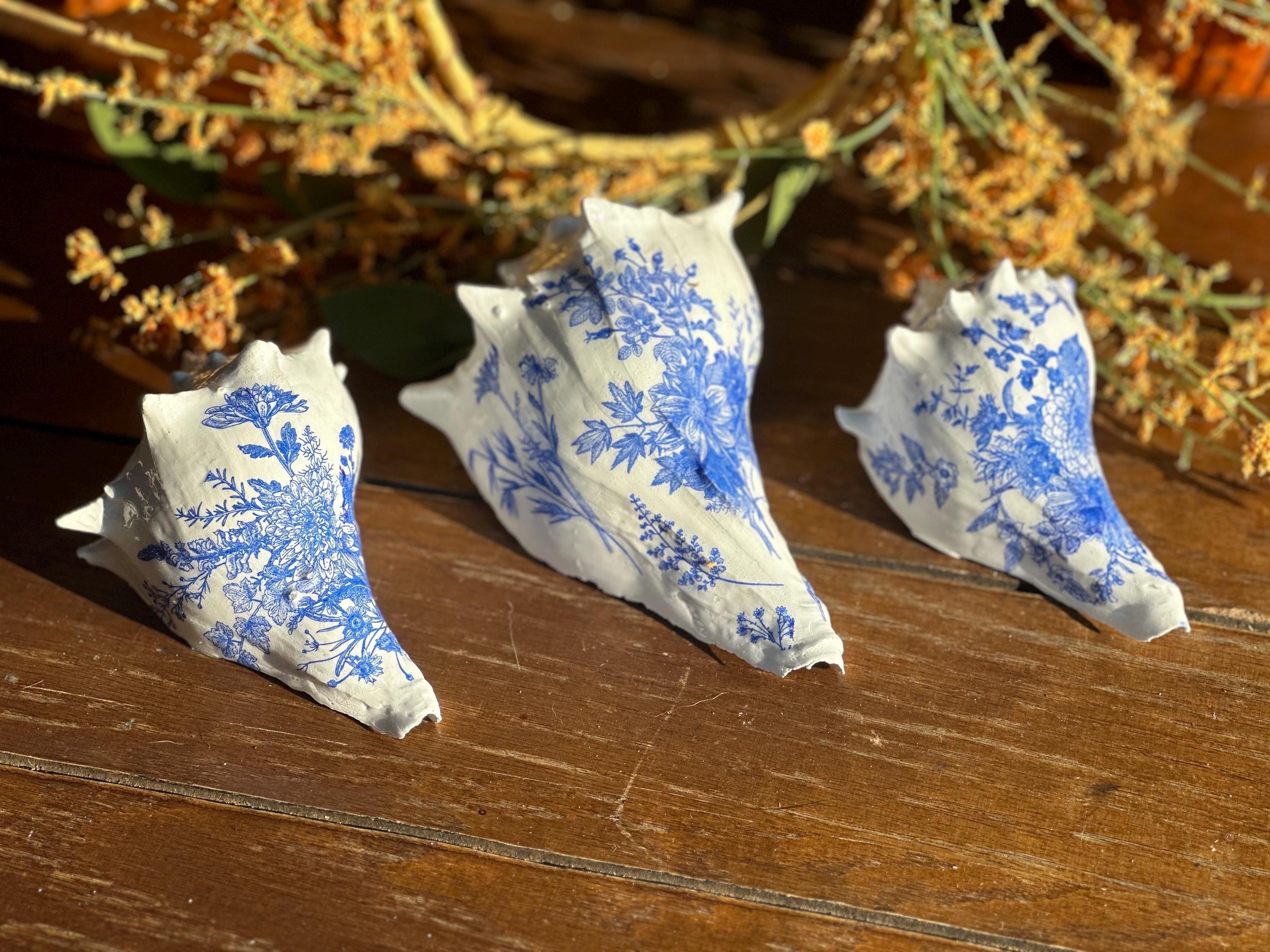 Decoupaged and Resined Whelk Shells - Etsy