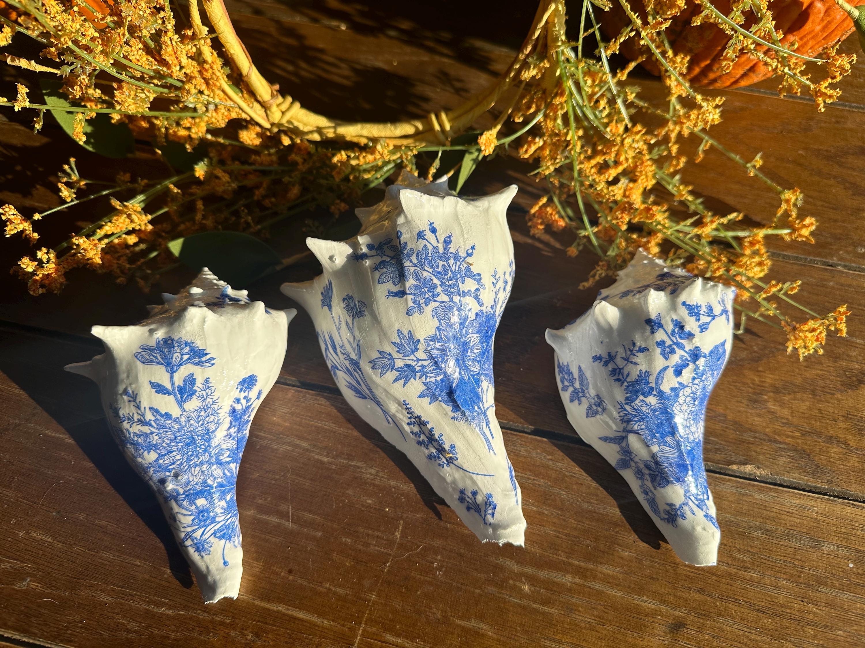 Decoupaged and Resined Whelk Shells - Etsy