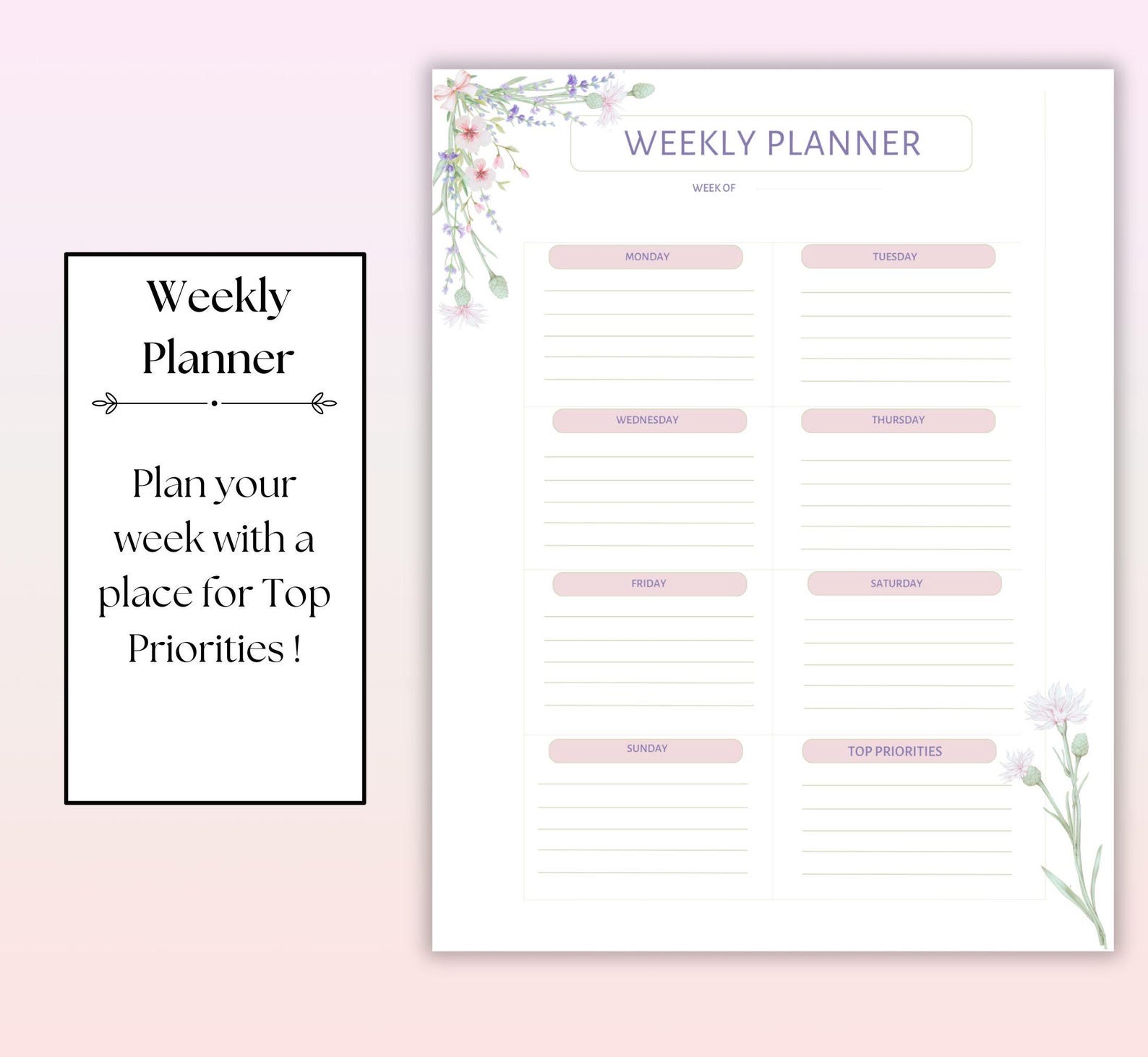 Pretty in Pink Planner - Includes To-do List and Password Tracker! - Etsy