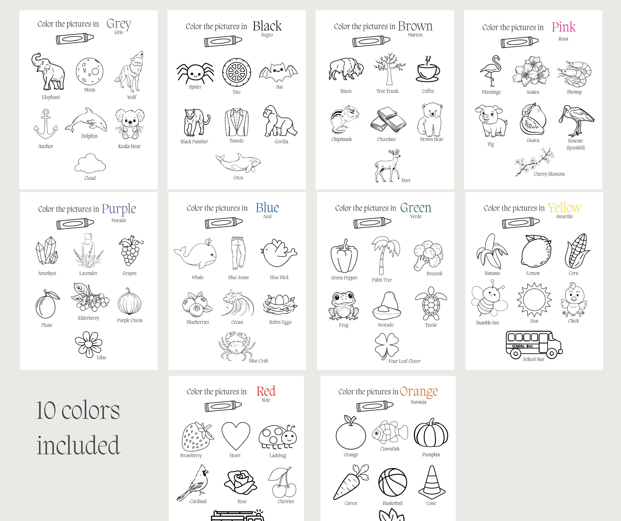 Learning Colors for Kids Printable | Preschool & Toddler Color ...