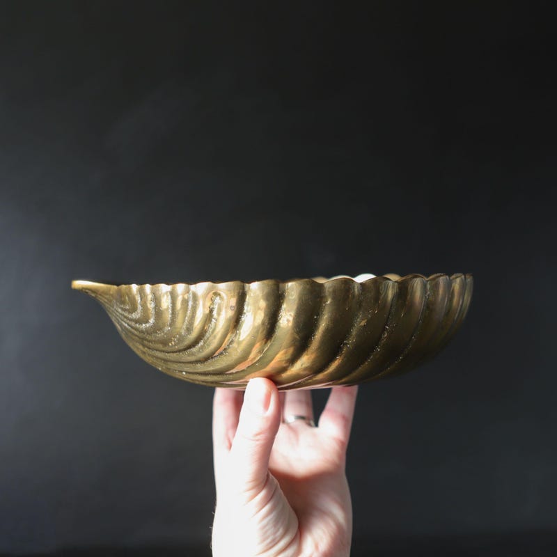 Clam Shell Planter - Etsy