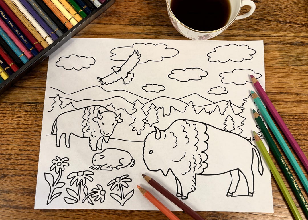 Buffalo Bison Coloring Page Printable Digital Download PDF Instant File ...