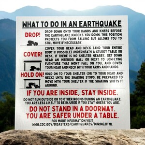 Novelty Earthquake Detector Sticker - Etsy