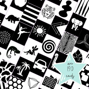 Printable High Contrast Flashcards. Monochrome Sensory Cards, Visual ...