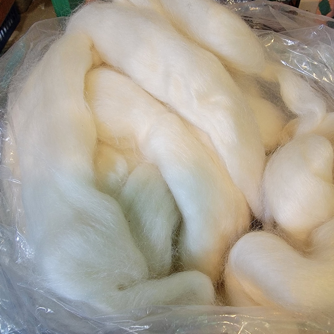 Cashmere Premium 100% Roving Combed Top Spinning Fiber Fibre 1 Oz White ...