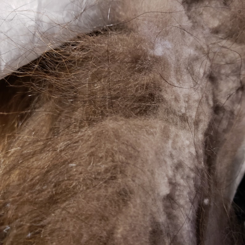 CRAZY Qiviut Musk Ox 100% Sliver Pencil Roving Spinning - Etsy CRAZY Qiviut Musk Ox 100% Sliver Pencil Roving Spinning - Etsy