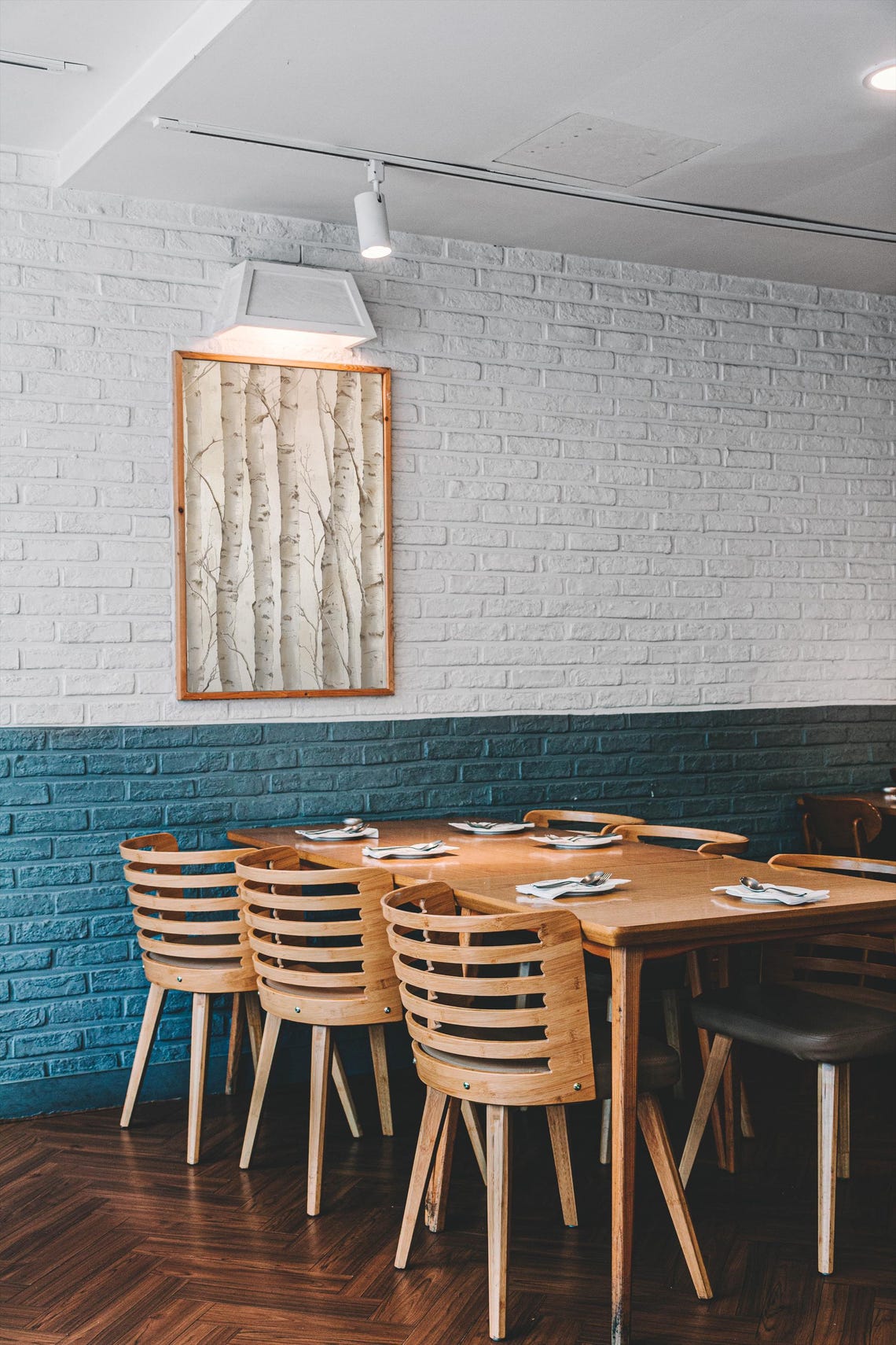 Birch Tree (aspen Alley) - Etsy