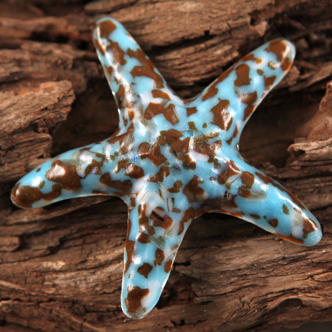 Make a Difference One Starfish at a Time...stardust Fused Glass ...