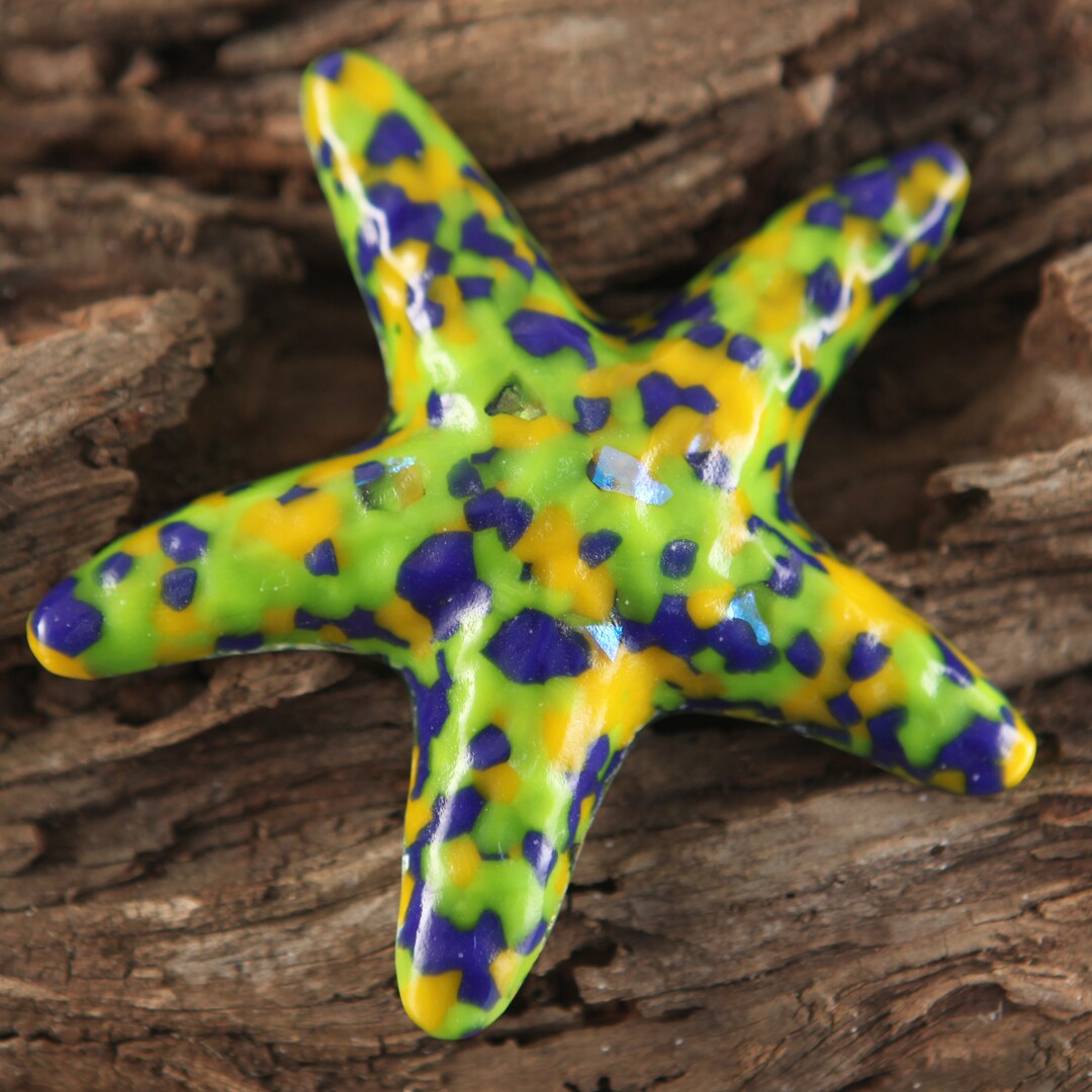 Make a Difference One Starfish at a Time...chloe Fused Glass Starfish ...