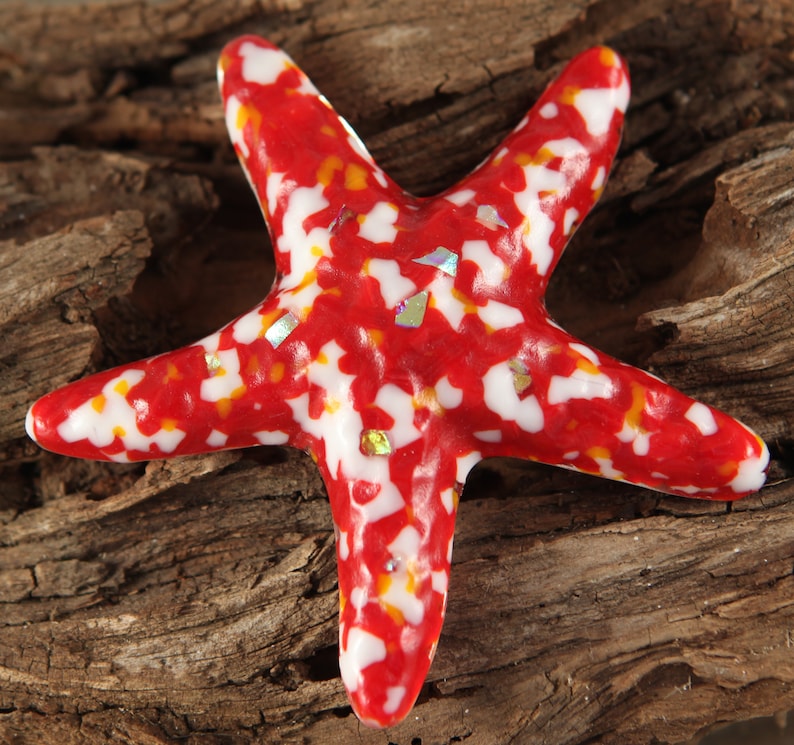 Make a Difference One Starfish at a Time...amanita Fused Glass - Etsy
