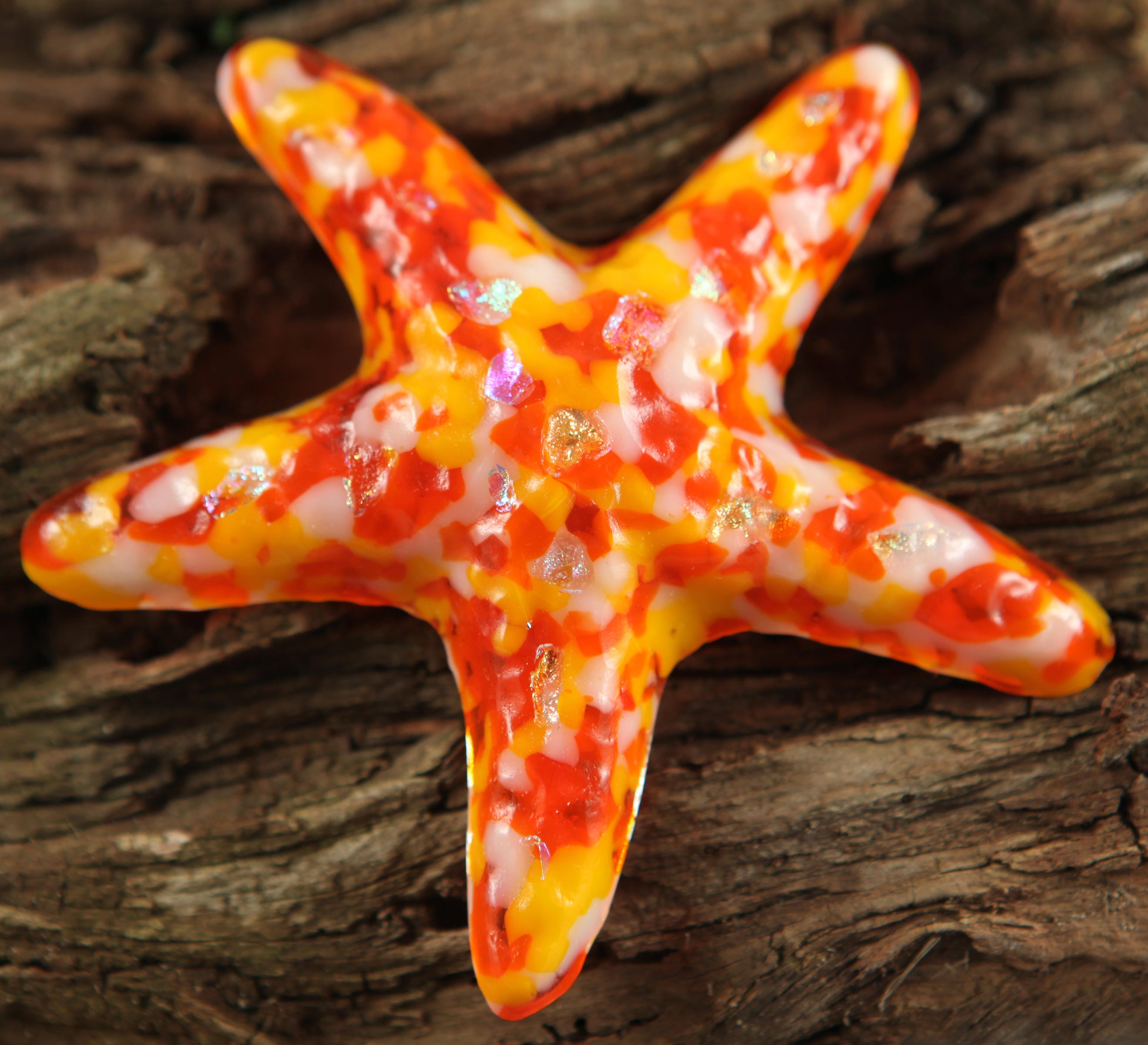 Starfish That Made A Difference One Is For