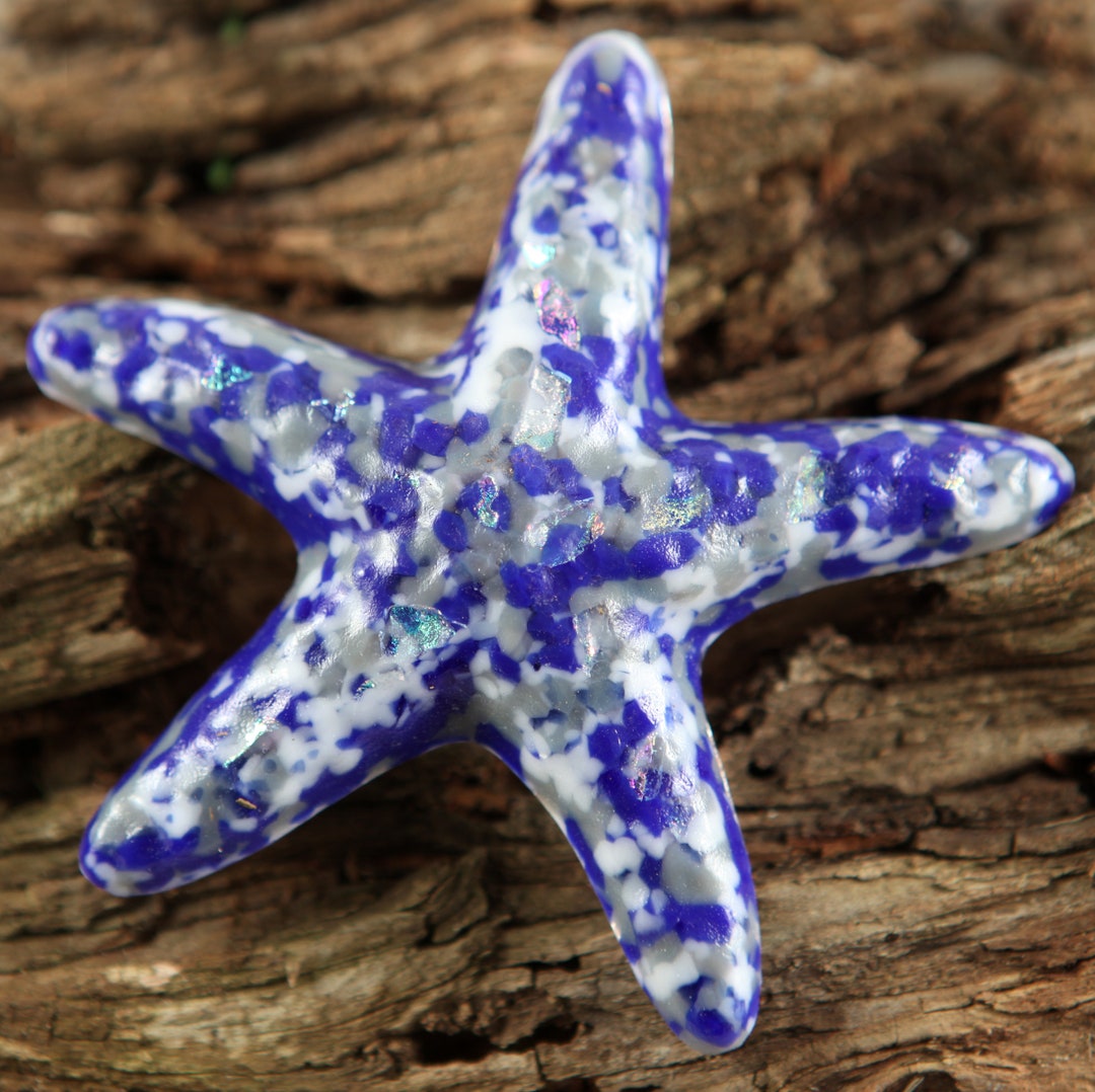 Make a Difference One Starfish at a Time...galaxy Fused Glass Starfish ...