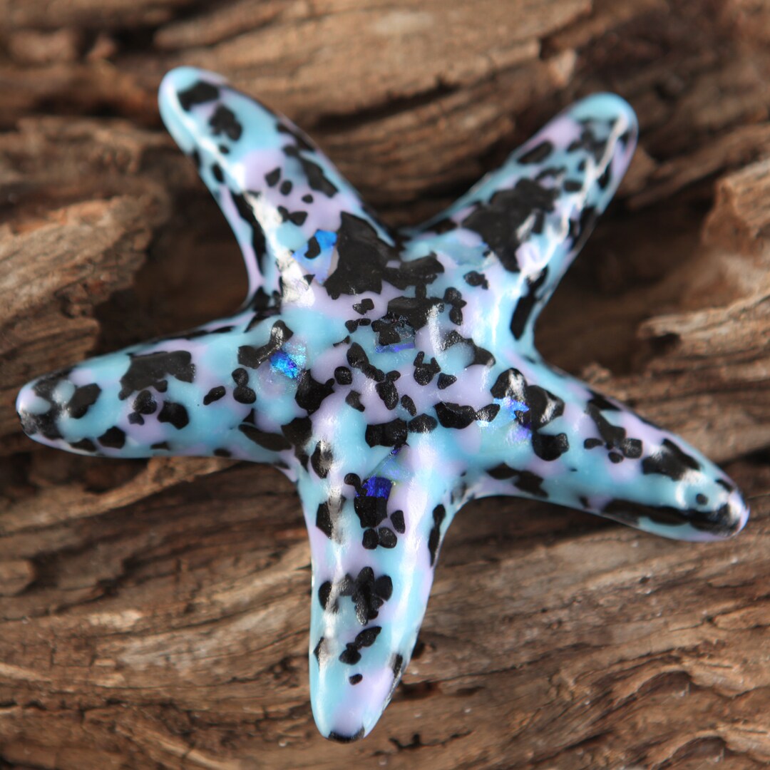 Make a Difference One Starfish at a Time...charlotte Fused Glass ...
