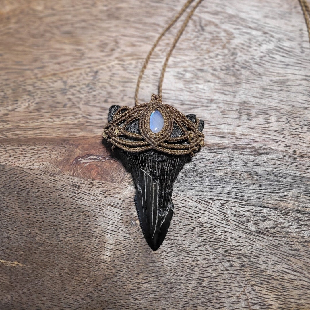 Macrame Shark Tooth Necklace, Moonstone Macrame Necklace, Shark Tooth ...