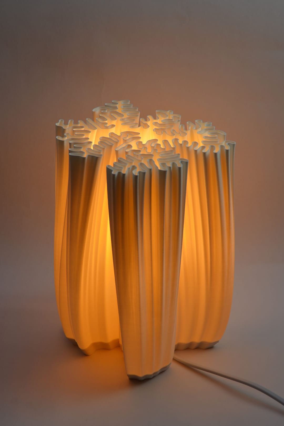 Brain Coral Lamp | Biodegradable Biopolymer Lampshade - Etsy