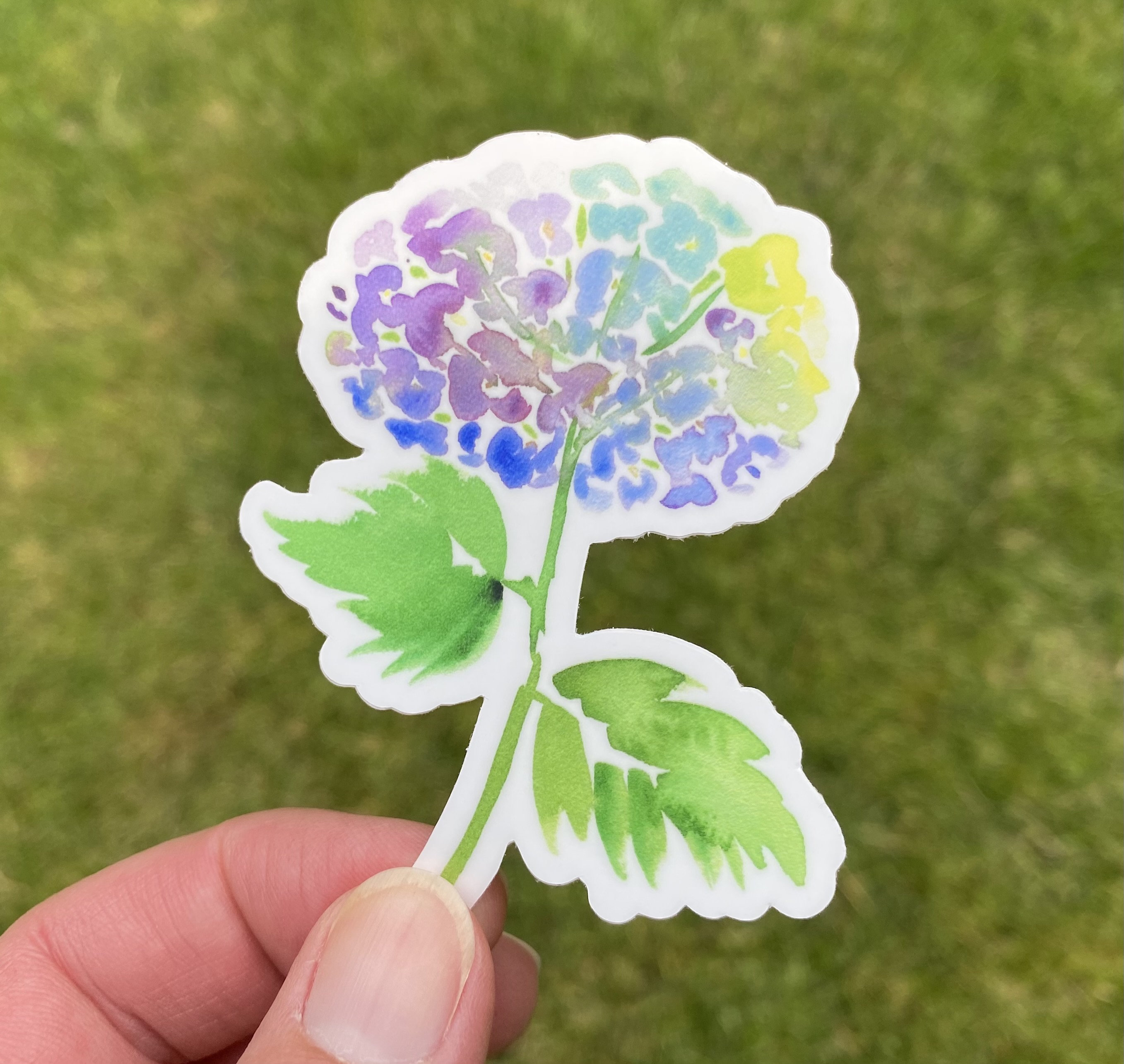 Blue Hydrangea Vinyl Sticker Watercolor Flower Decal Sticker - Etsy UK