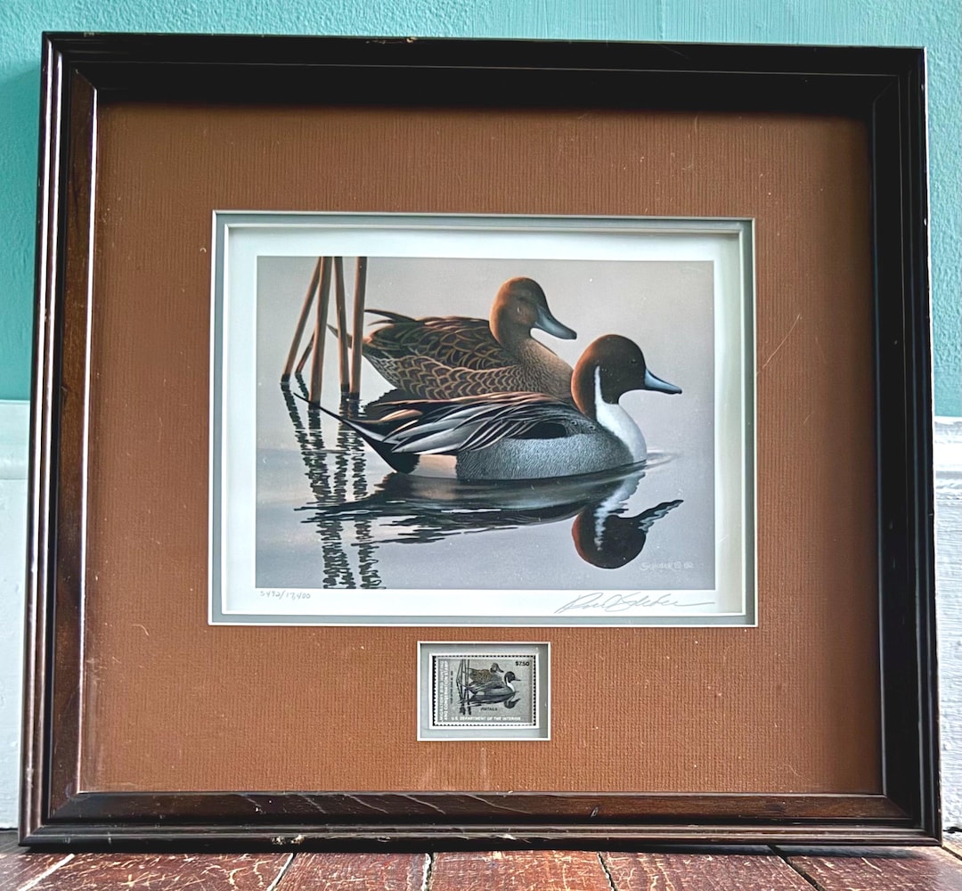Signed Phil Scholer Northern Pintail Duck Stamp Print - Framed Limited ...