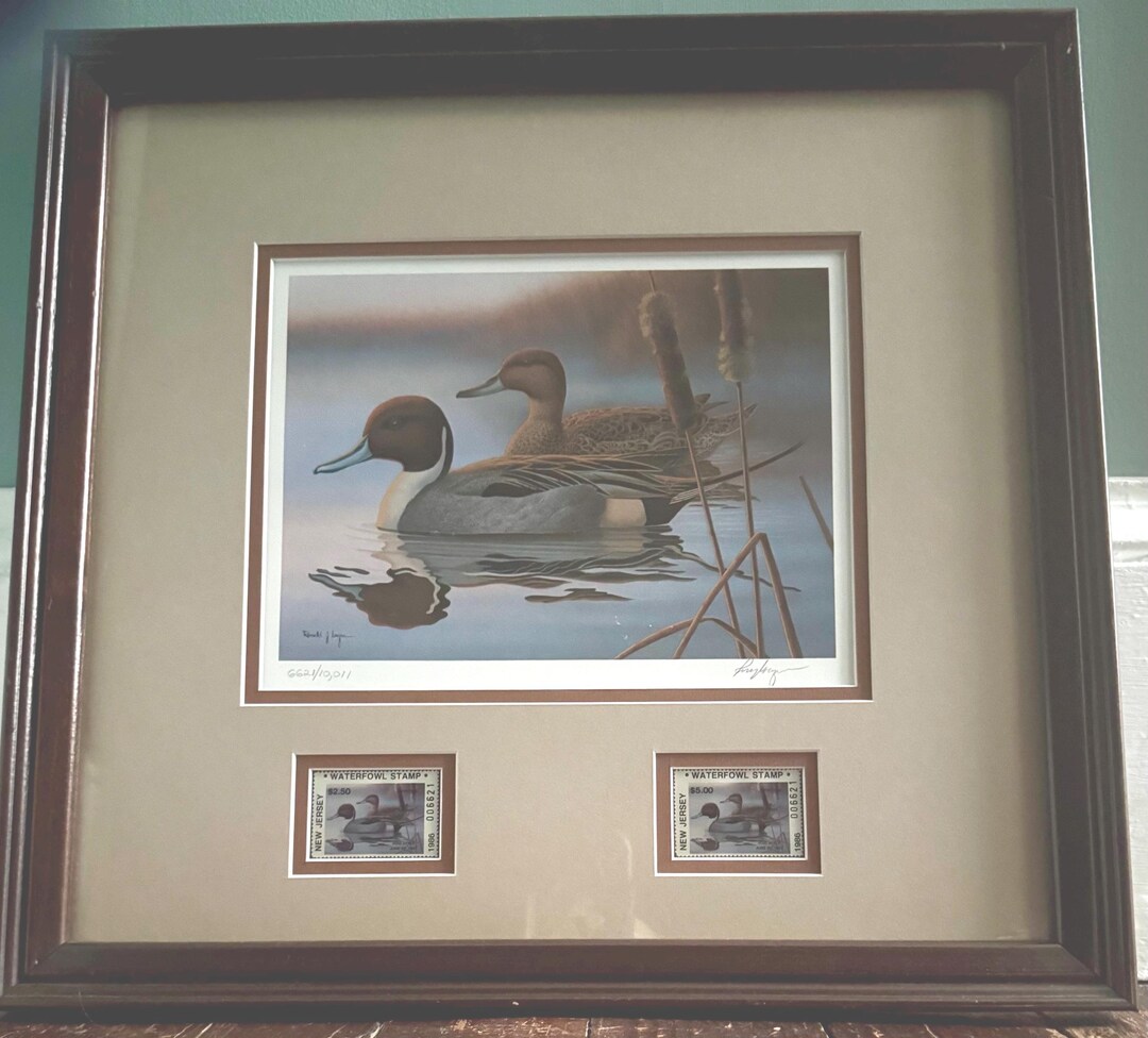 Signed Ronald Louque Duck Stamp Print: 1986 New Jersey Waterfowl Art - Etsy