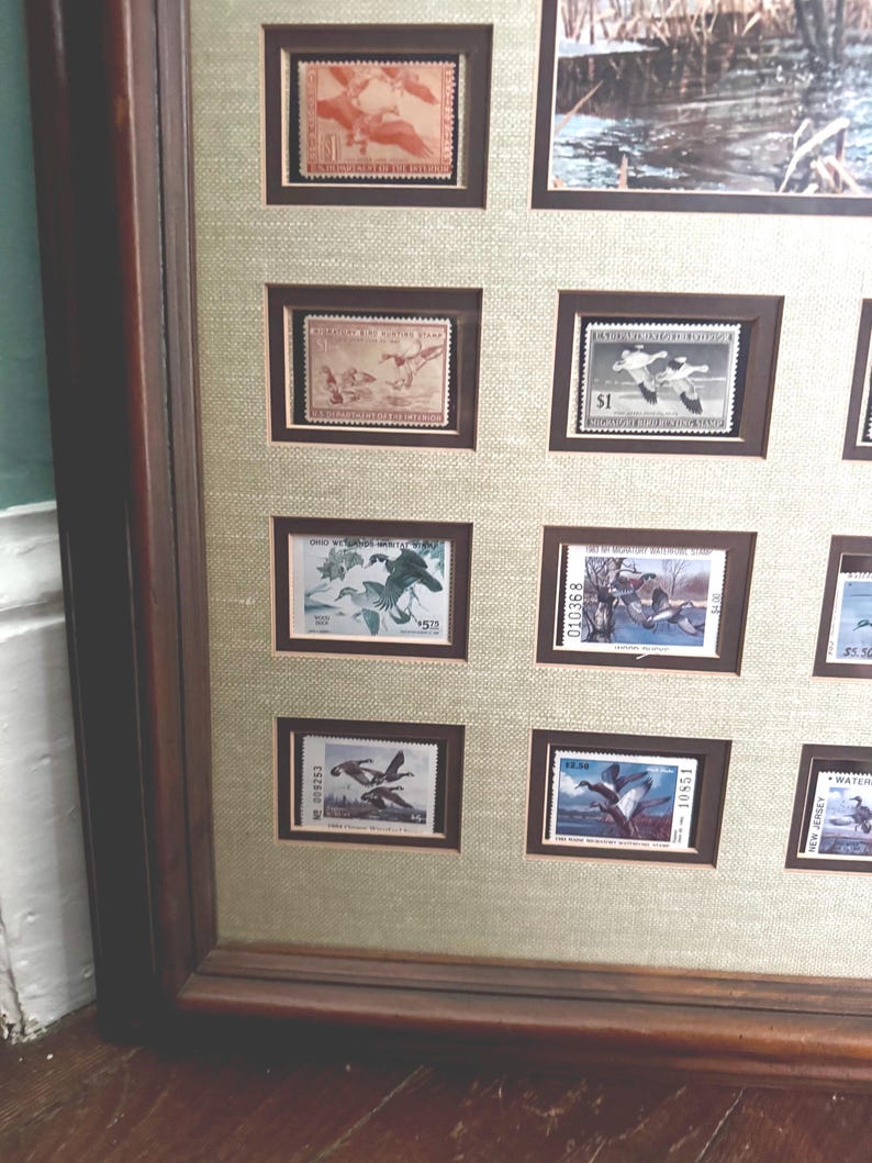 M. Wayne Willis Wildlife Print, 26 Authentic Federal & State Duck ...