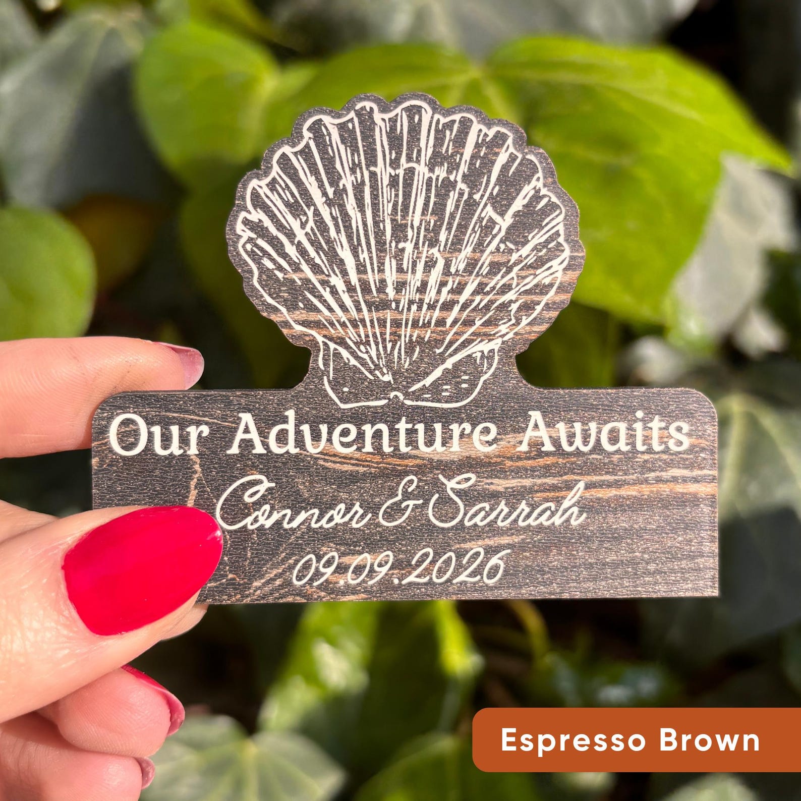 Seashell Save the Date Magnet: Beach Wedding Favor, Engraved Wood - Etsy
