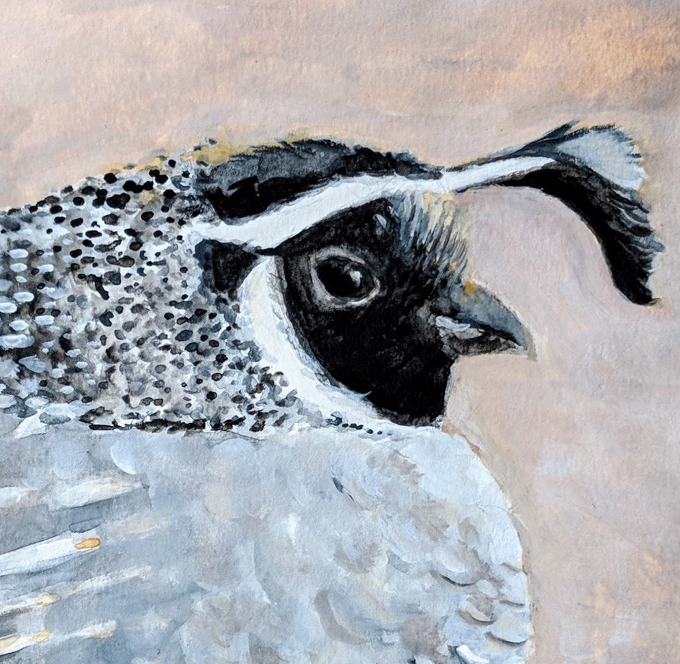 Quail Art Print of Oil Painting Archival Archival Print Bird Portrait ...