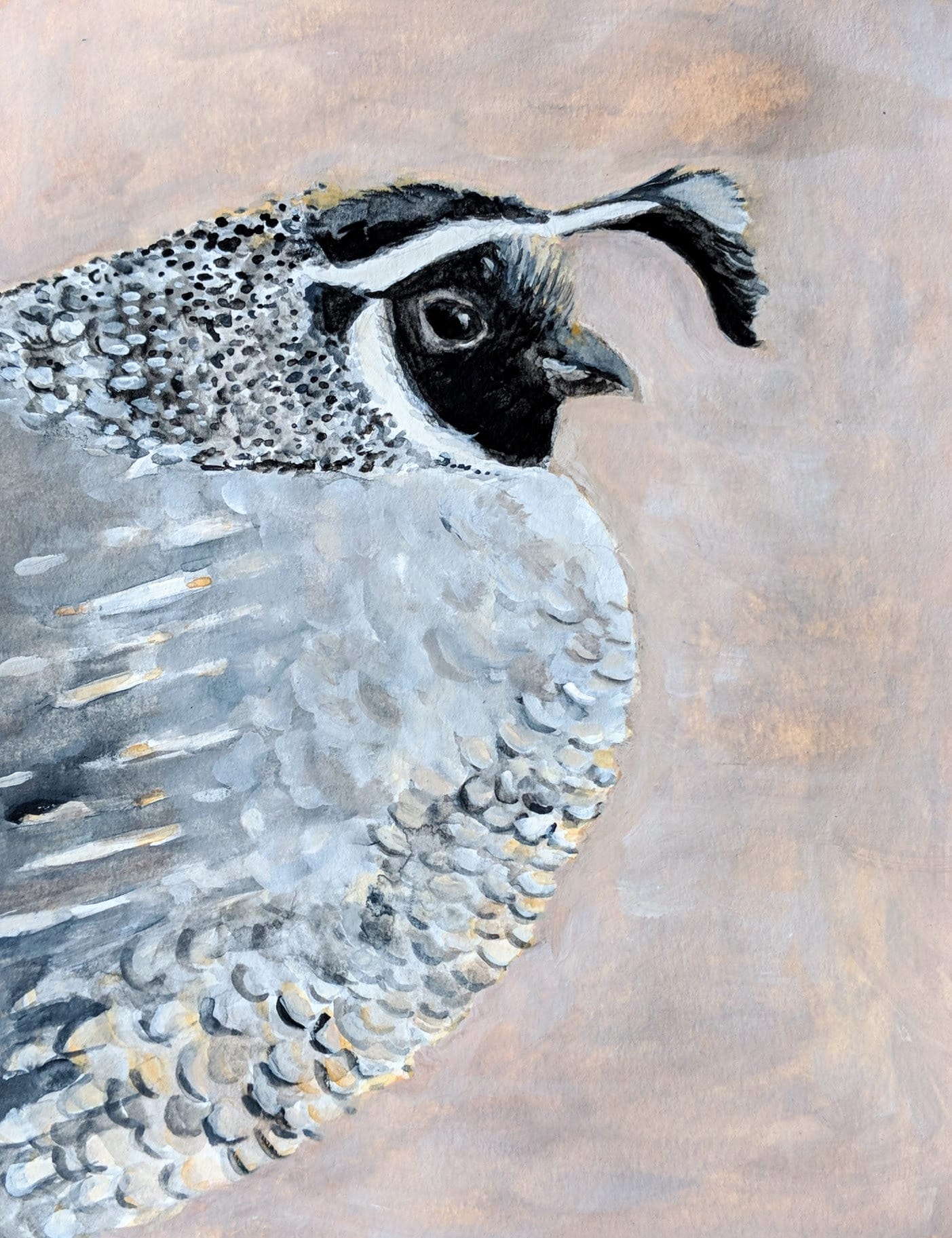 Quail Paintings