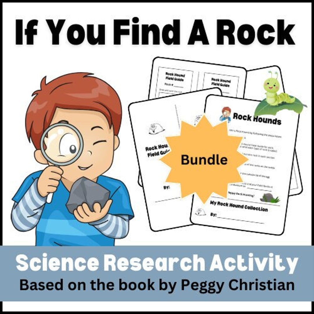 If You Find A Rock by Peggy Christian: Book Companion - Etsy