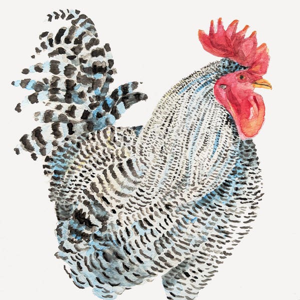 Rooster Prints - Etsy