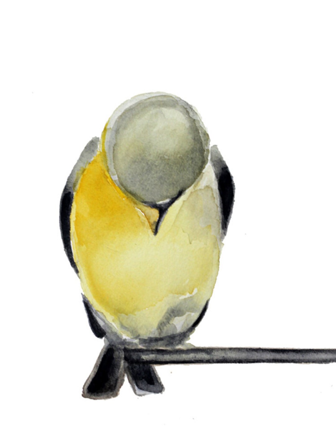 Bird Watercolor Painting Art Print / Looking Down / Unframed Print - Etsy