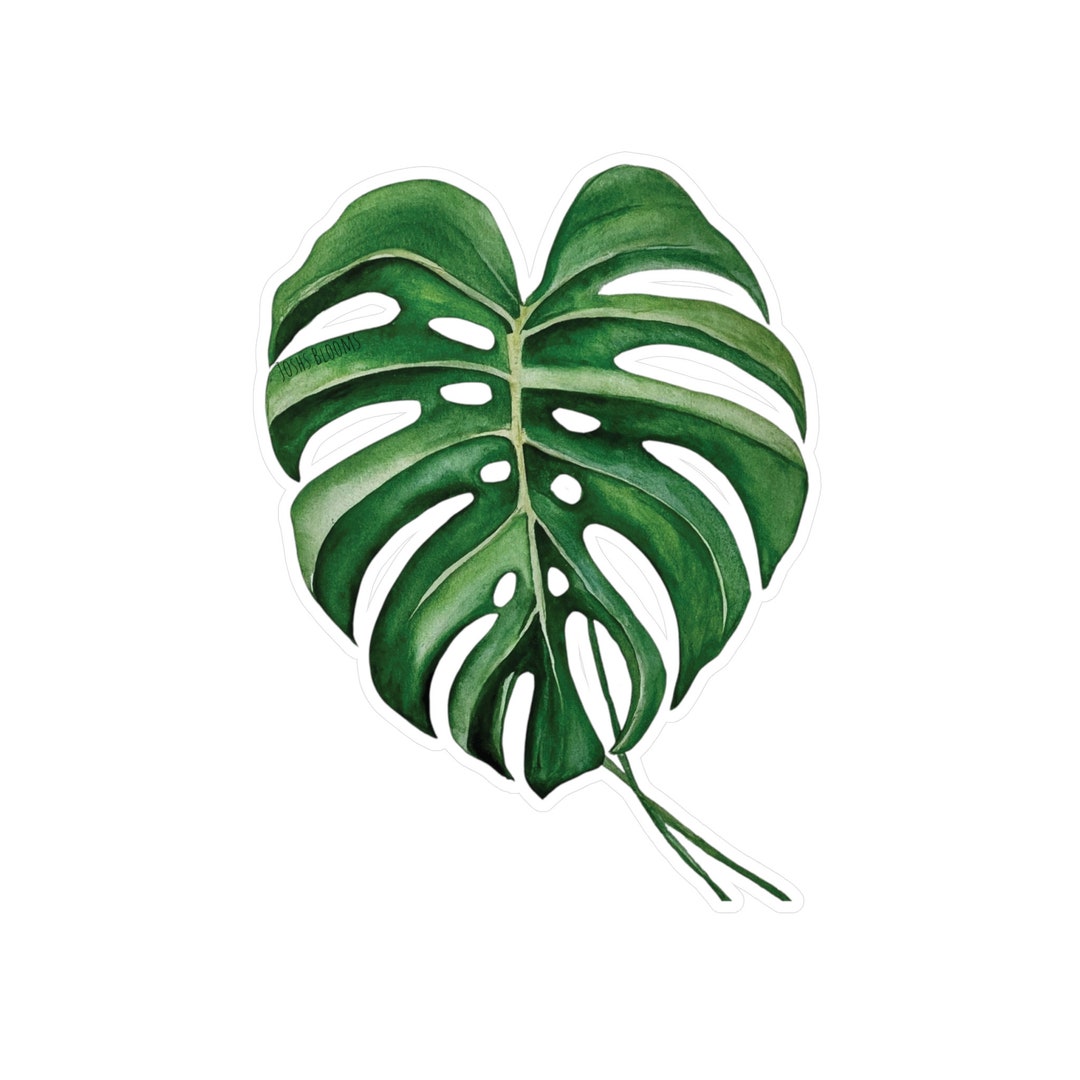 Monstera Vinyl Sticker, Plant Label, Waterproof Sticker, Car Stickers ...
