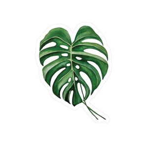 Monstera Vinyl Sticker, Plant Label, Waterproof Sticker, Car Stickers ...