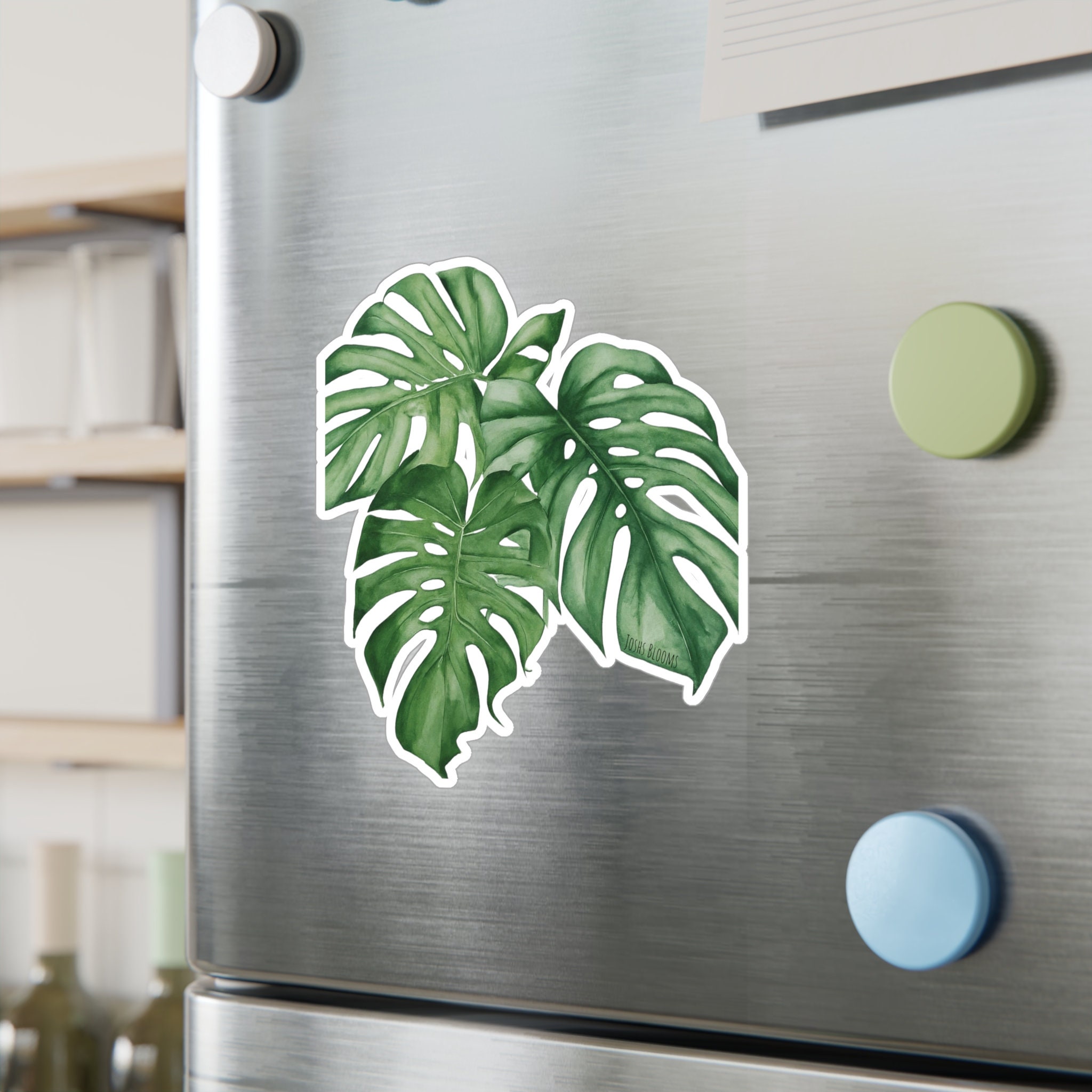 Monstera Vinyl Sticker, Plant Label, Waterproof Sticker, Car Stickers ...