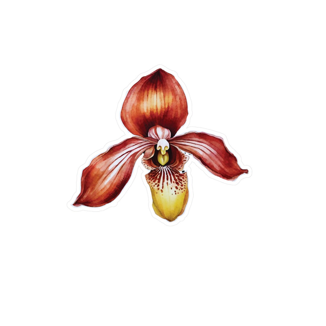 Orchid of Vinyl Sticker, Plant Label, Waterproof Sticker, Car Stickers ...