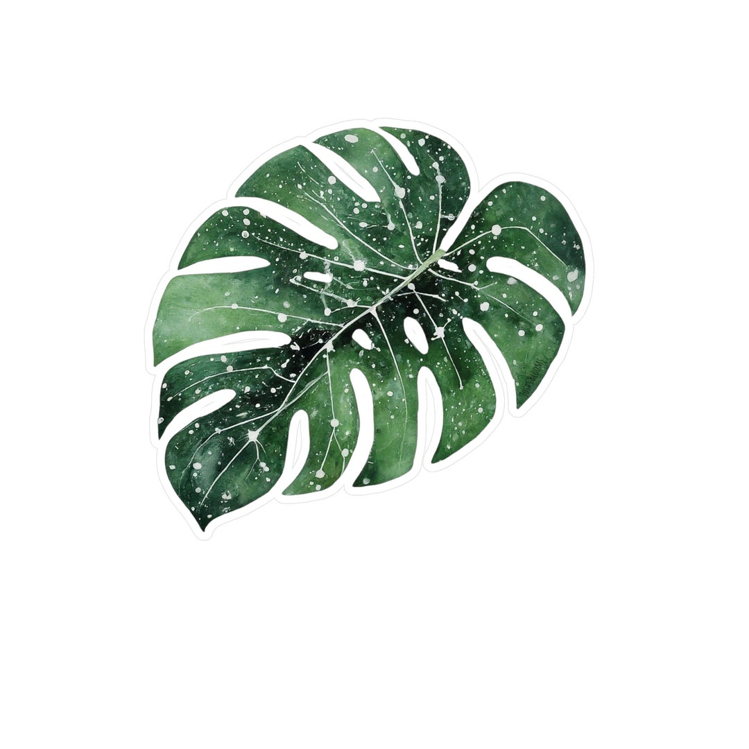 Variegated Monstera Sticker, Vinyl Sticker, Plant Label, Waterproof ...