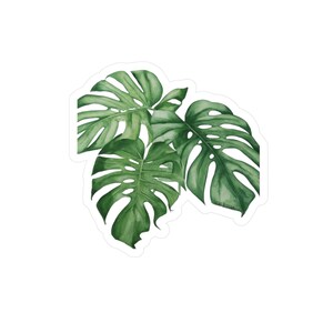 Monstera Vinyl Sticker, Plant Label, Waterproof Sticker, Car Stickers ...