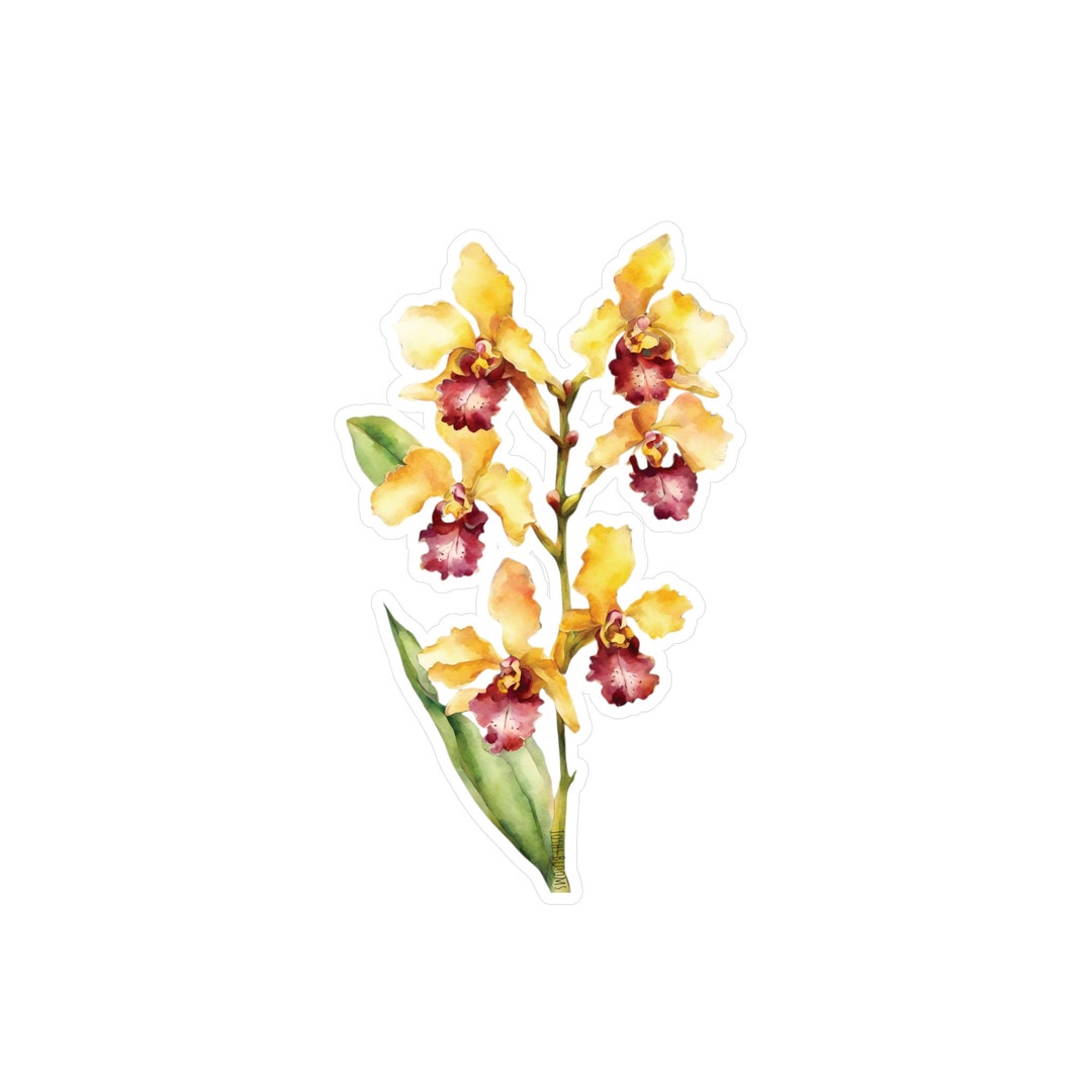 Orchid Vinyl Sticker, Plant Label, Waterproof Sticker, Car Stickers ...