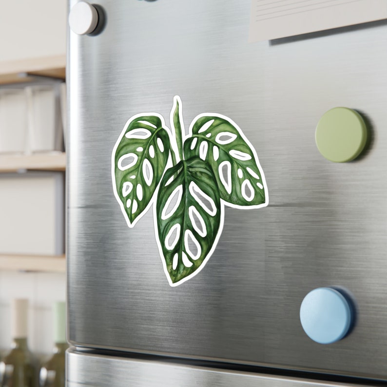 Monstera Vinyl Sticker, Plant Label, Waterproof Sticker, Car Stickers ...