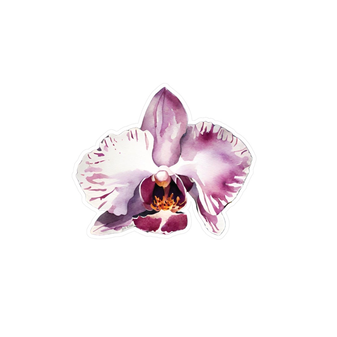 Orchid Vinyl Sticker, Plant Label, Waterproof Sticker, Car Stickers ...