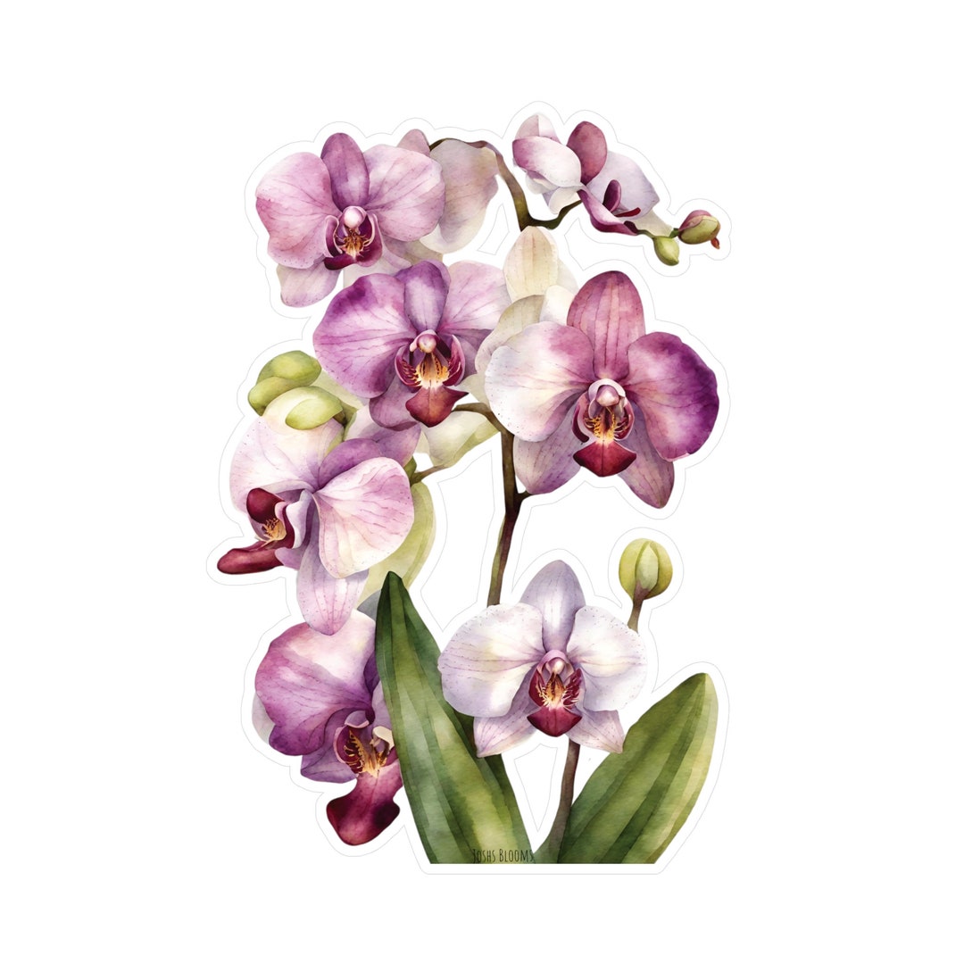 Orchid Vinyl Sticker, Plant Label, Waterproof Sticker, Car Stickers ...