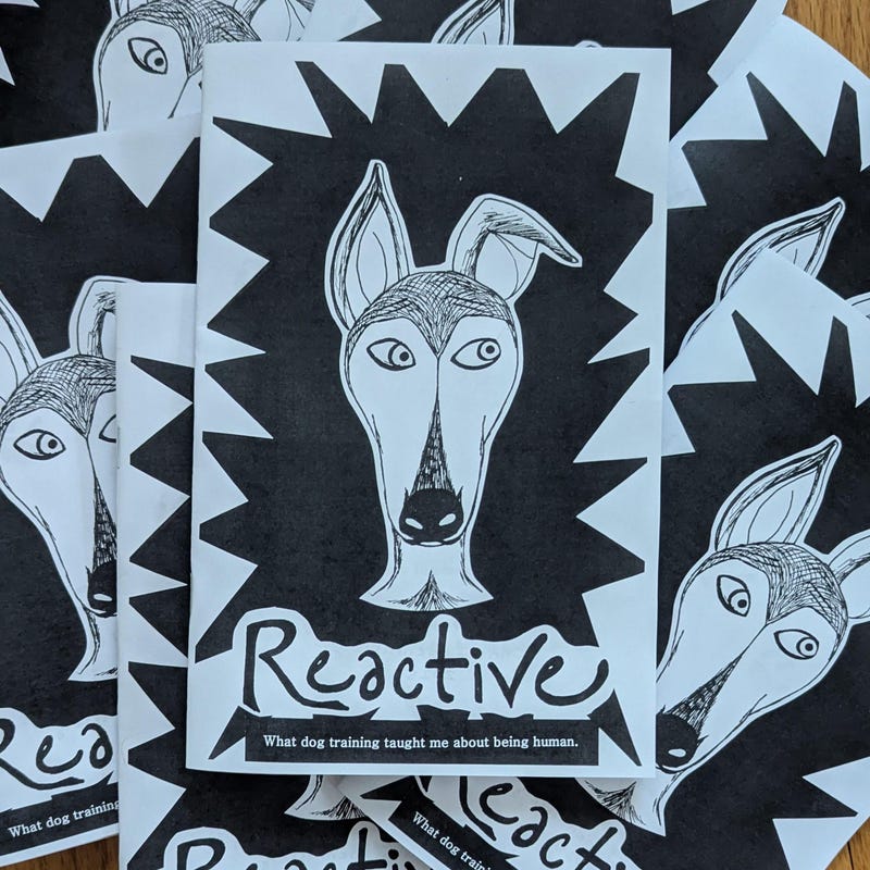 Animal Zine Printable - Etsy UK