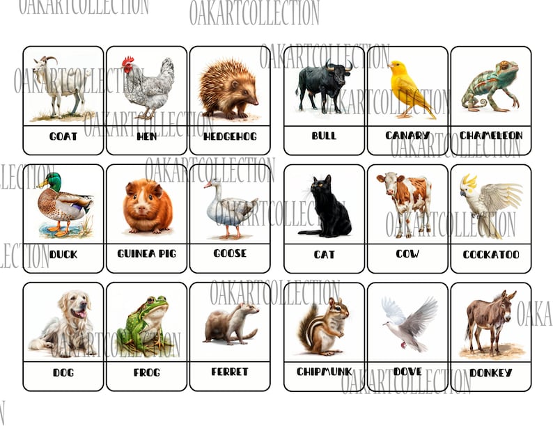 36 Pets and Farm Animals Flashcards Montessori Education for Kids ...