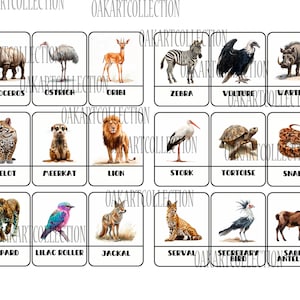 36 African Wild Animal Flashcards Montessori Education for Kids ...