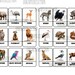 36 African Wild Animal Flashcards Montessori Education for Kids ...