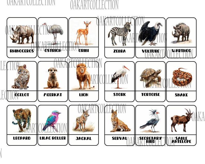 36 African Wild Animal Flashcards Montessori Education for Kids ...
