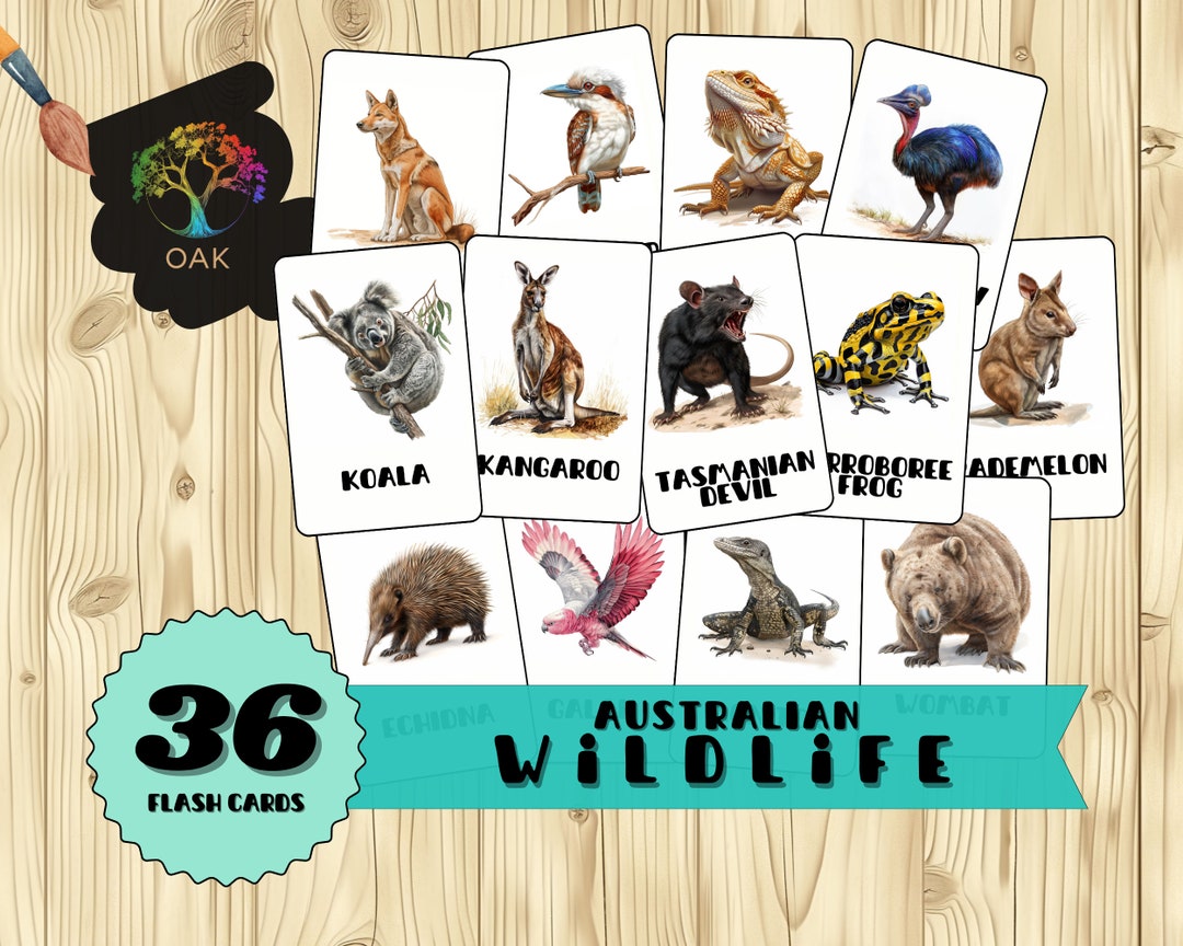 36 Australian Wildlife Flashcards Montessori Education for Kids ...