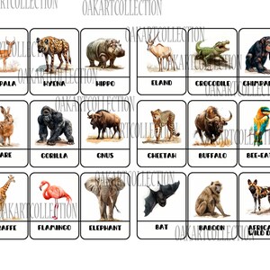 36 African Wild Animal Flashcards Montessori Education for Kids ...