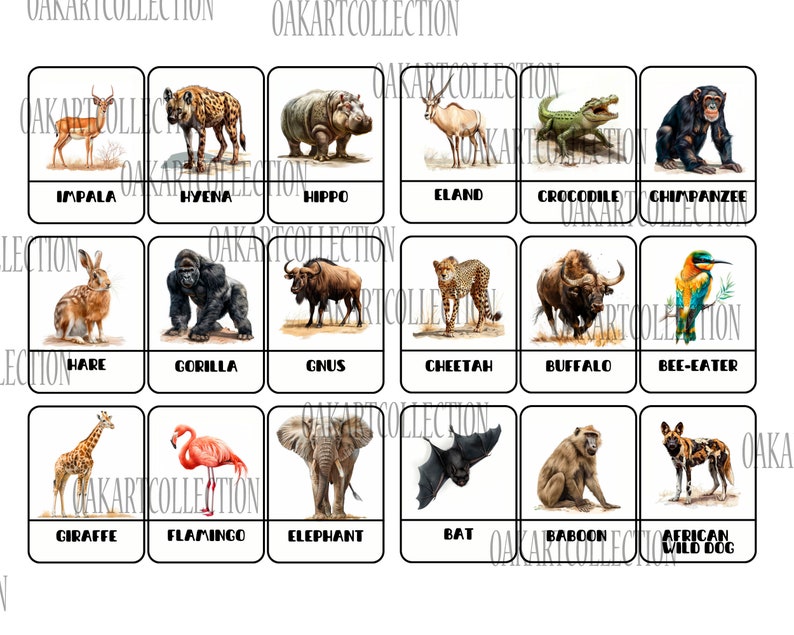 36 African Wild Animal Flashcards Montessori Education for Kids ...